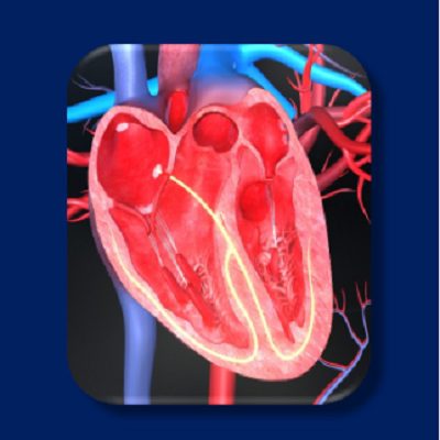 LymeCME | Free, Evidence-based, AAFP-Accredited Courses that Physicians ...